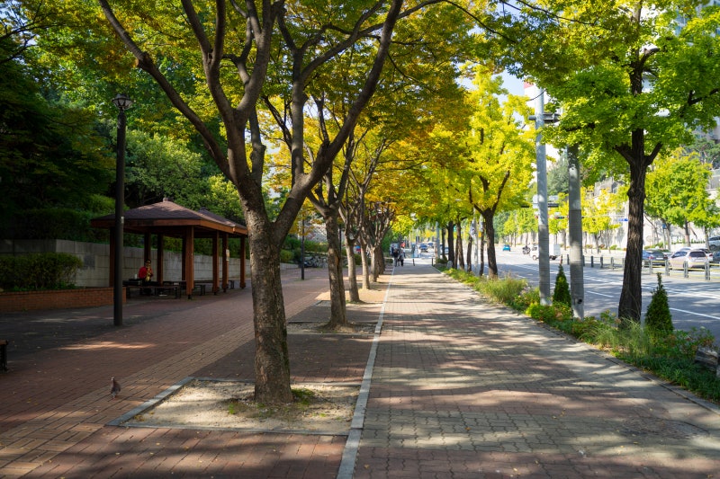 서울 등산 초보 추천 서대문 안산자락길 독립문역 출발 코스 네이버 블로그