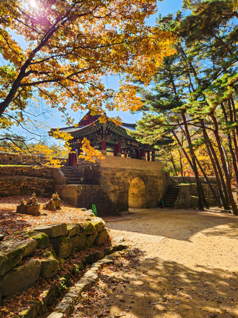 경북 문경새재 도립공원 가을 단풍시기와 3관문~1관문 도착 코스 추천 네이버 블로그