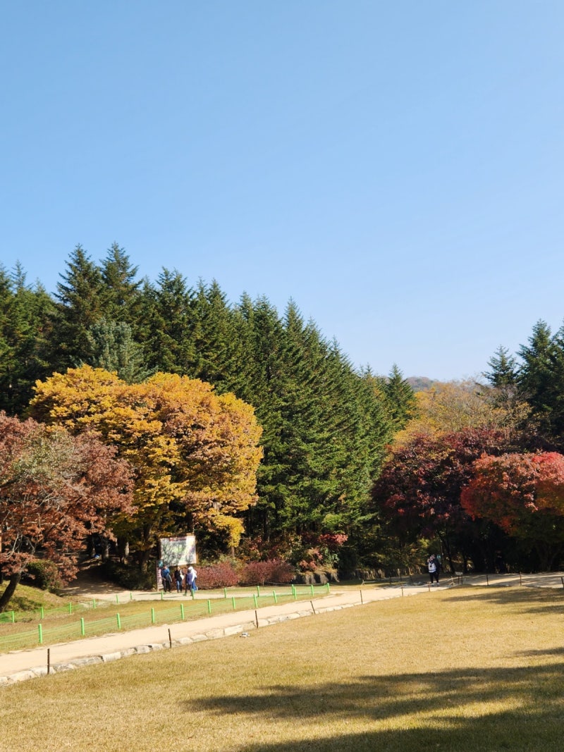 경북 문경새재 도립공원 가을 단풍시기와 3관문~1관문 도착 코스 추천 네이버 블로그