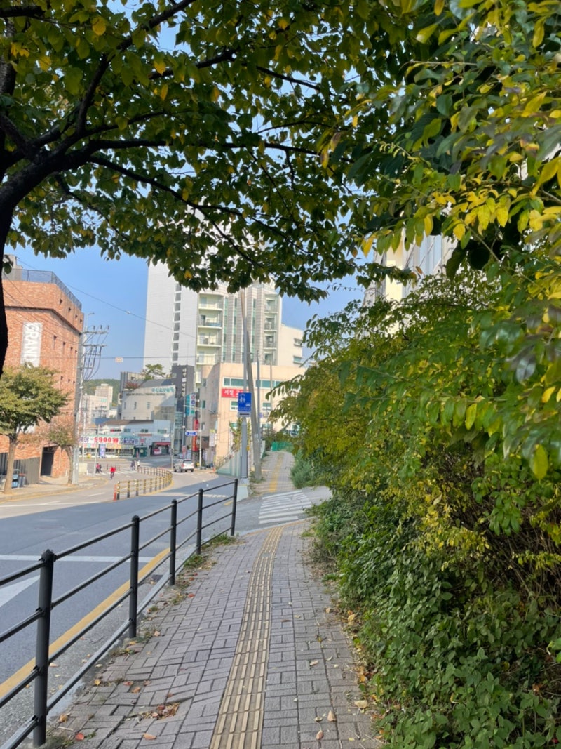 부동산 경매 모든 부동산이 하락기 월세투자 평택 삼성전자 인근 빌라 소액 1000만원 투자로 소유권 받자