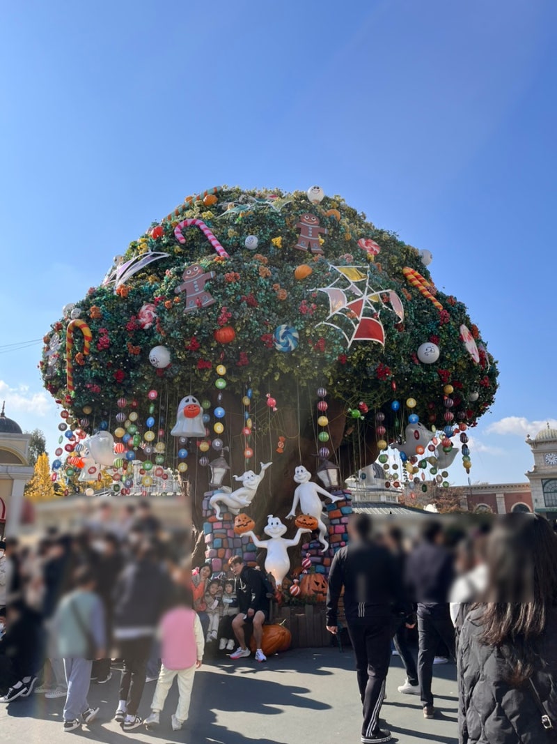 에버랜드 드림투어 후기💕/에버랜드 vip 투어 방문후기 /에버랜드 사파리 스페셜 투어 : 네이버 블로그