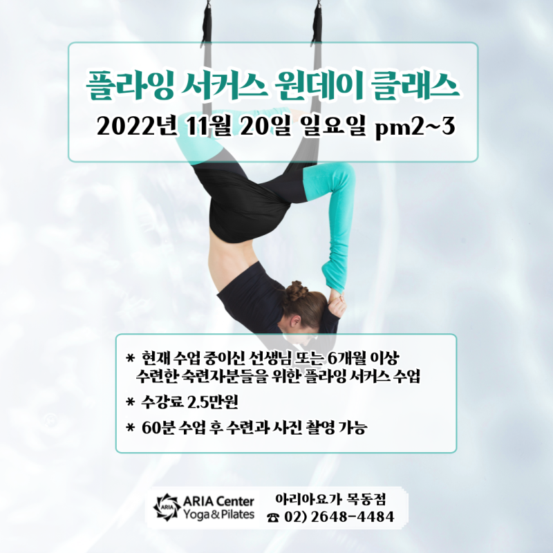 아리아요가 목동점 아리선생님과 함께하는 플라잉 원데이 클래스 네이버 블로그