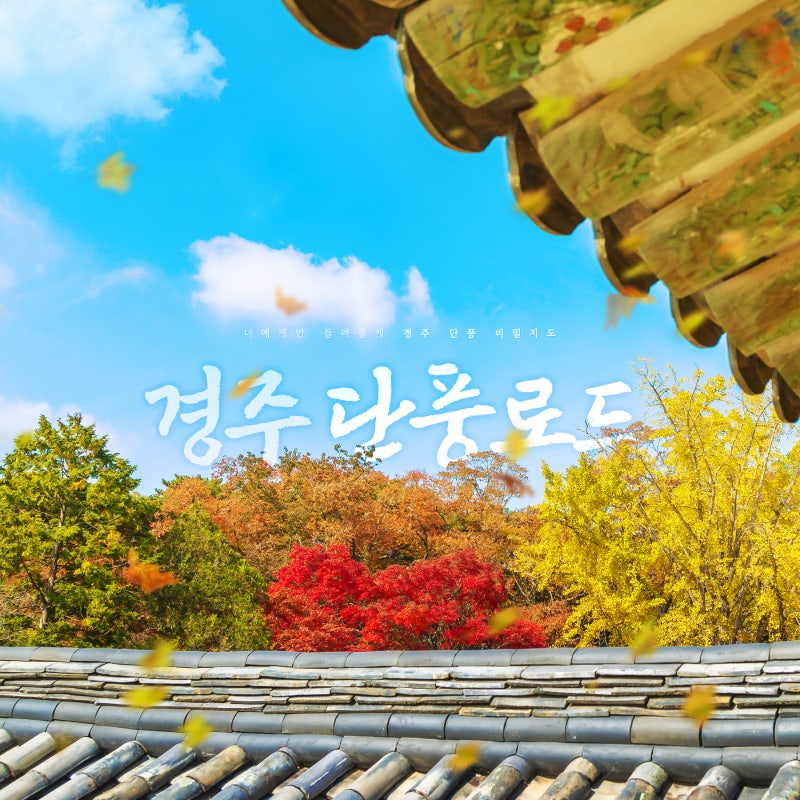 경주 가볼 만한 곳 가을 단풍 시기 여행 명소 Best 6 불국사 대릉원 동궁과월지 야경 등 네이버 블로그