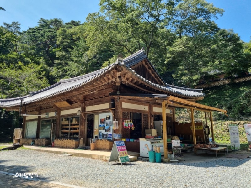 구례 여행 천은사 지리산 3대 사찰 둘레길 힐링 산책로 주차 네이버 블로그