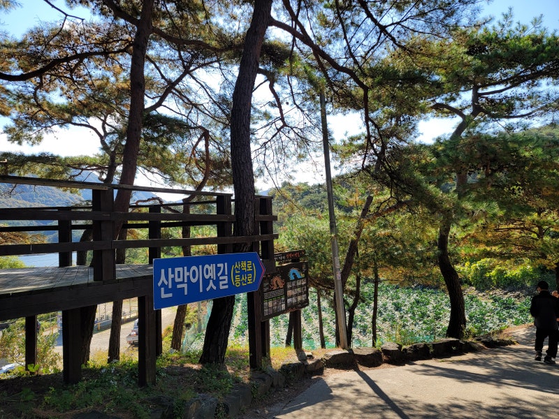 충북 괴산 산막이옛길 괴산호 유람선 타고 연하협구름다리 일주관광 대운선박 시간표 운임 예약 네이버 블로그