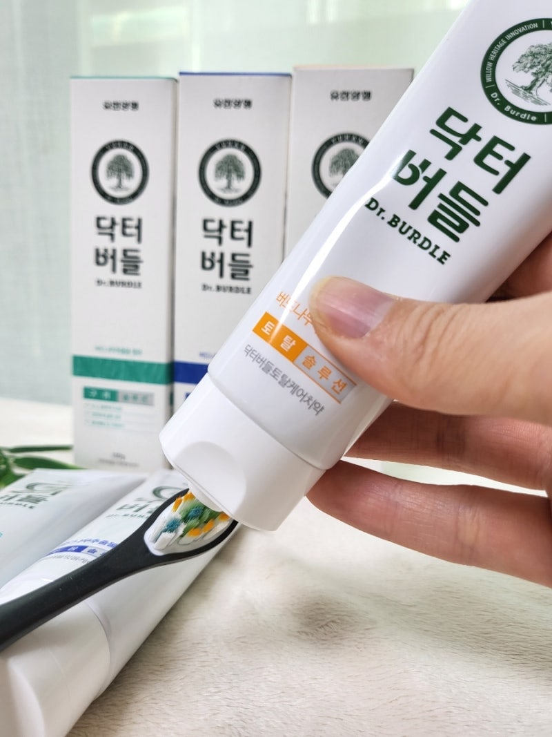 임산부치약 추천유해성분無 유한양행 닥터버들 네이버 블로그