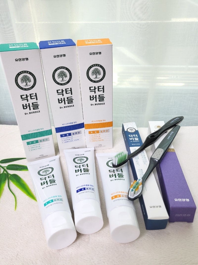 임산부치약 추천유해성분無 유한양행 닥터버들 네이버 블로그