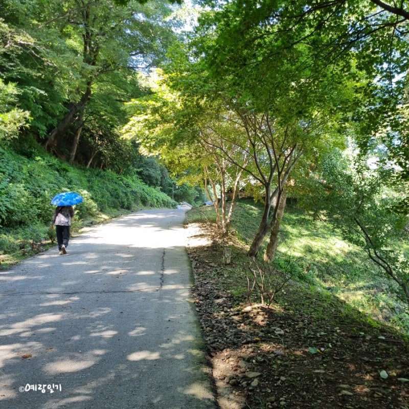 구례 여행 천은사 지리산 3대 사찰 둘레길 힐링 산책로 주차 네이버 블로그