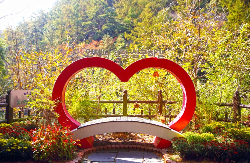 대전 산책 명소 만인산자연휴양림 네이버 블로그