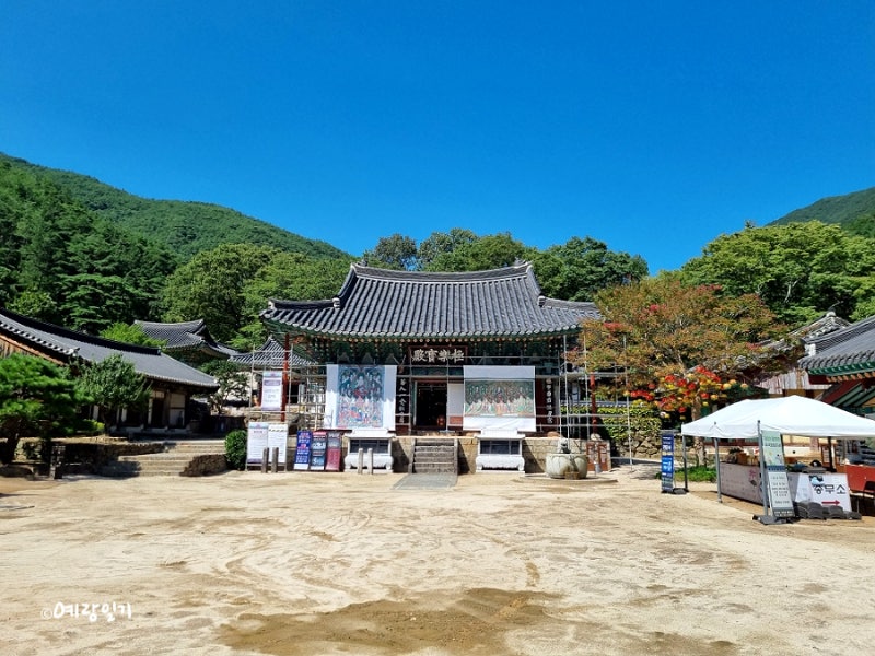 구례 여행 천은사 지리산 3대 사찰 둘레길 힐링 산책로 주차 네이버 블로그