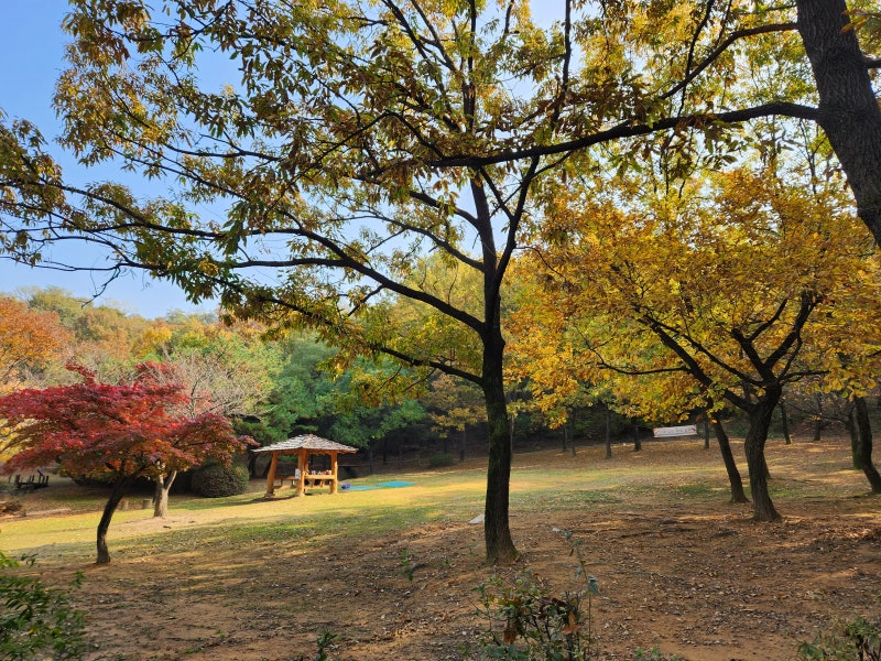 정발산 유아숲체험원 가을숲 나들이 고양 일산 아이와 가볼만한곳 네이버 블로그
