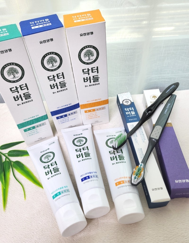 임산부치약 추천유해성분無 유한양행 닥터버들 네이버 블로그