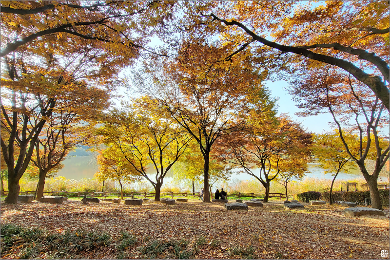 인천대공원 단풍 지금 참 이쁜 인천 단풍명소 가을 여행 가볼만한곳 네이버 블로그