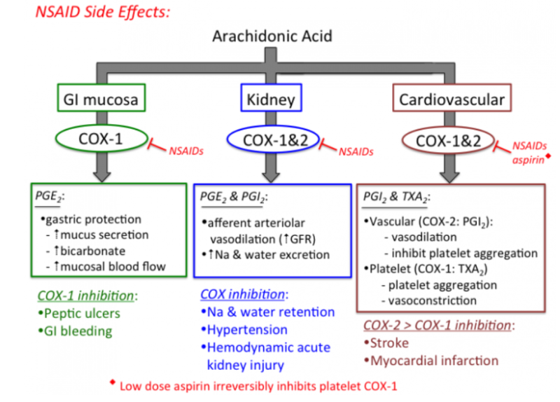 약국 두통약 성분과 종류 및 효능/부작용 요약 (ft. 타이레놀, NSAIDs) : 네이버 블로그