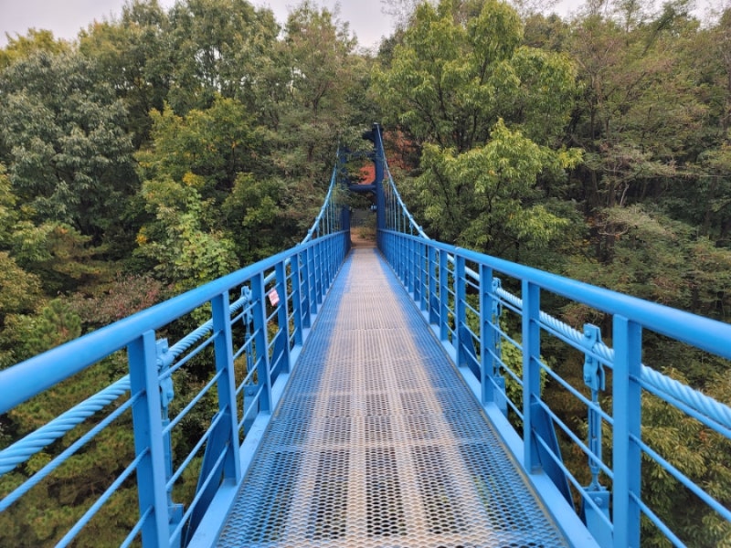 태조산솔바람길걷기 천안 유량동 태조산솔바람길 걷기 태조산등산 어싱 네이버 블로그