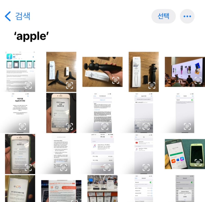 아이폰아이패드 사진 Ocr 기능 이미지에서 문자 복사번역해 쓰세요 설정 및 활용방법 A2
