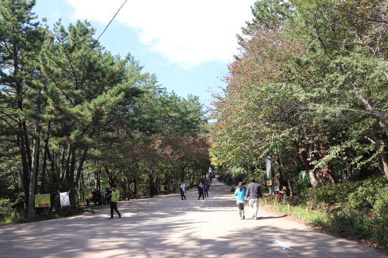 해운대 장산 등산코스 상세 안내대천공원 → 억새밭 → 정상 → 중봉 → 옥녀봉 → 대천공원 네이버 블로그