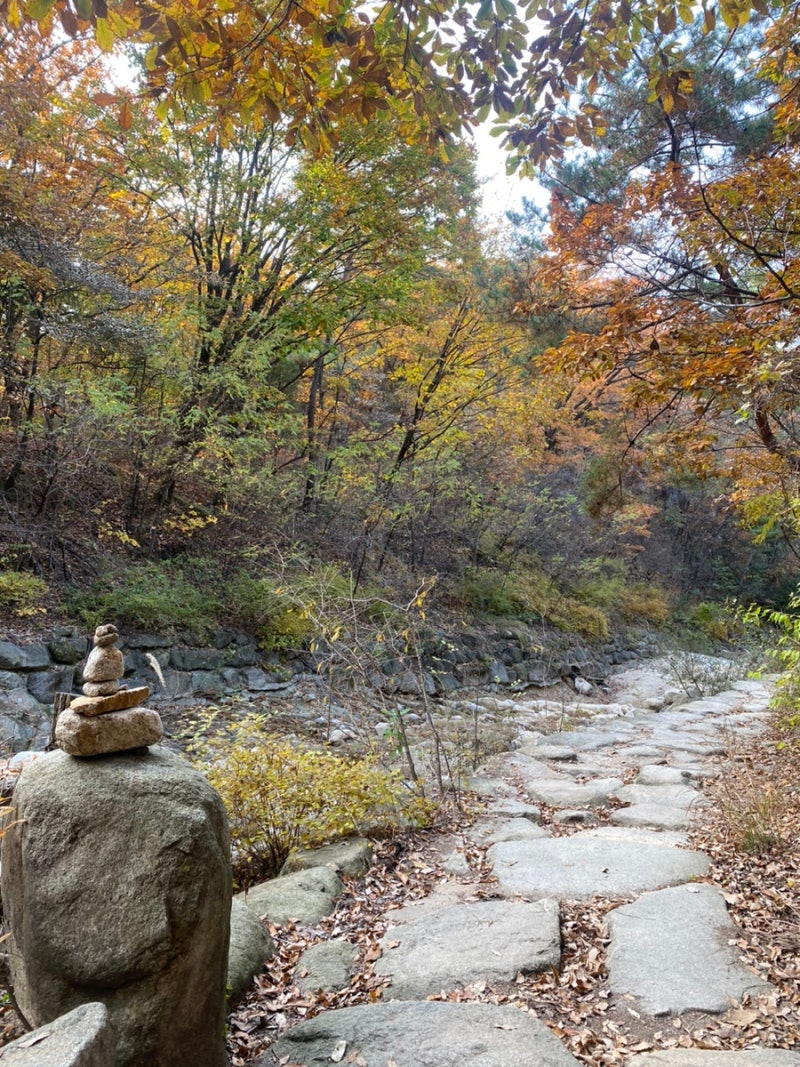 서울 관악산 가을 등산 초보코스 추천 신림선 서울대공대입구건설환경종합연구소 네이버 블로그