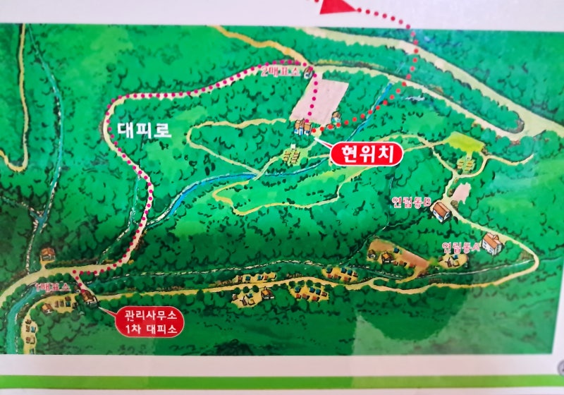 양평 숙소 중미산자연휴양림 숲속의 집상록수 숙박 후기 네이버 블로그