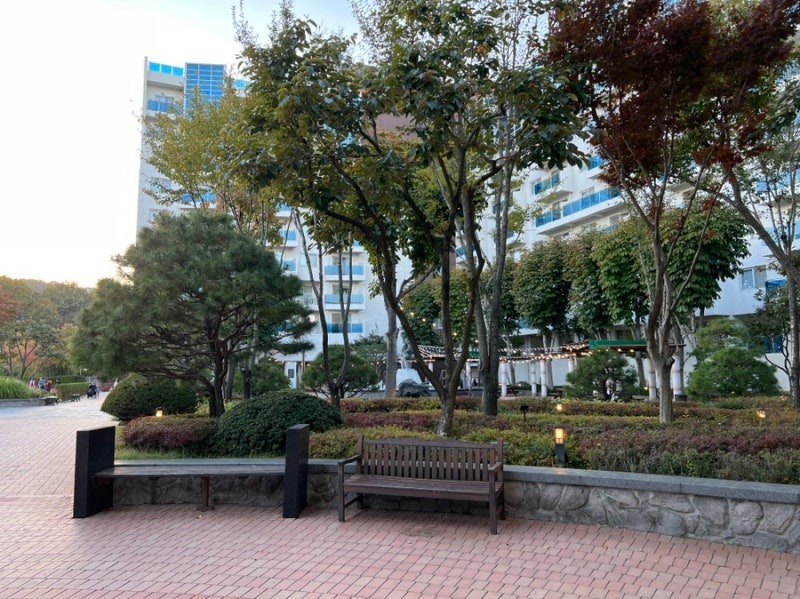 덕산 스플라스 리솜 스테이타워 S25 객실 솔직 후기feat 내돈내산 2박3일 네이버 블로그