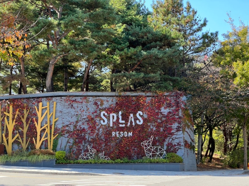 덕산 스플라스 리솜 스테이타워 S25 객실 솔직 후기feat 내돈내산 2박3일 네이버 블로그
