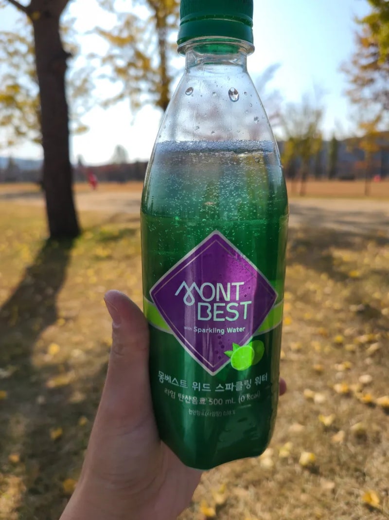 몽베스트탄산수 부담감 없는 제로칼로리 라임 탄산수추천 네이버 블로그