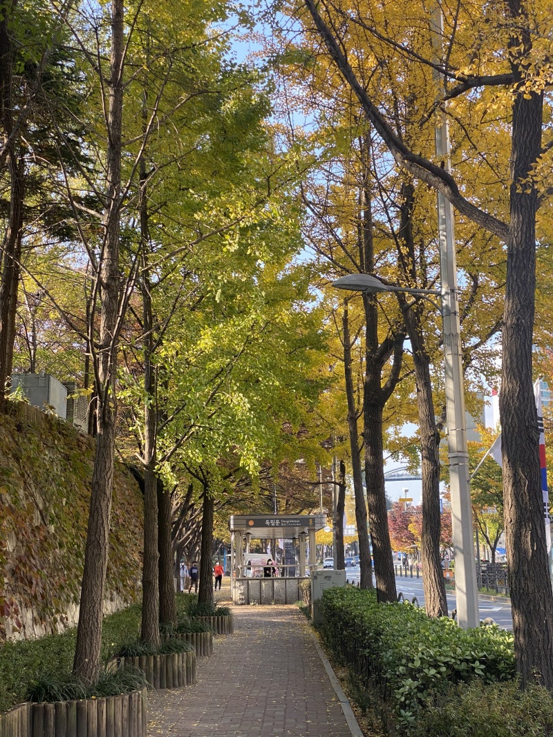 서울 인왕산 등산 초보 코스 추천 독립문역 안산자락길 무악재하늘다리 인왕산정상 수성동계곡 네이버 블로그