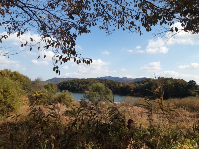 옥천대전청주 옥천에서 청남대 가는길 대청호 드라이브대청호 오백리길 추동습지보호구역대청댐전망대노현습지공원
