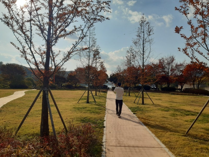 옥천대전청주 옥천에서 청남대 가는길 대청호 드라이브대청호 오백리길 추동습지보호구역대청댐전망대노현습지공원