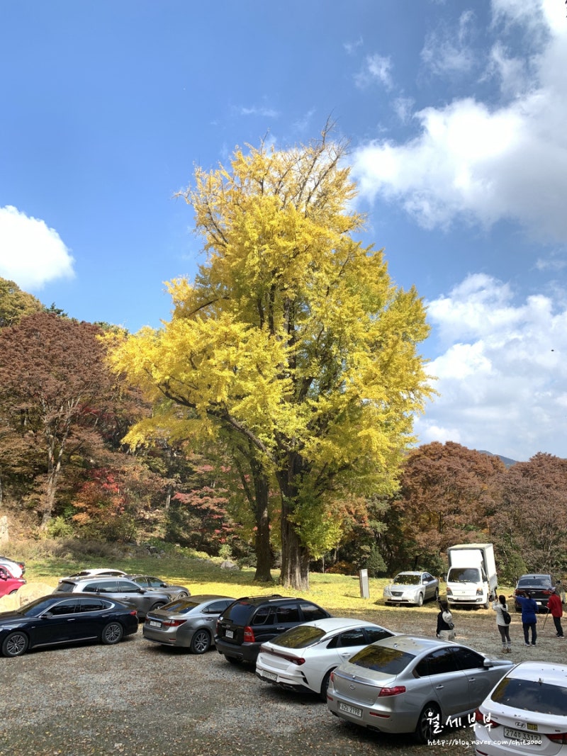 내장산 단풍시기 등산코스 백암산 ~ 내장산 국립공원 단풍산행 내장사 단풍명소 내장산 단풍절정 네이버 블로그