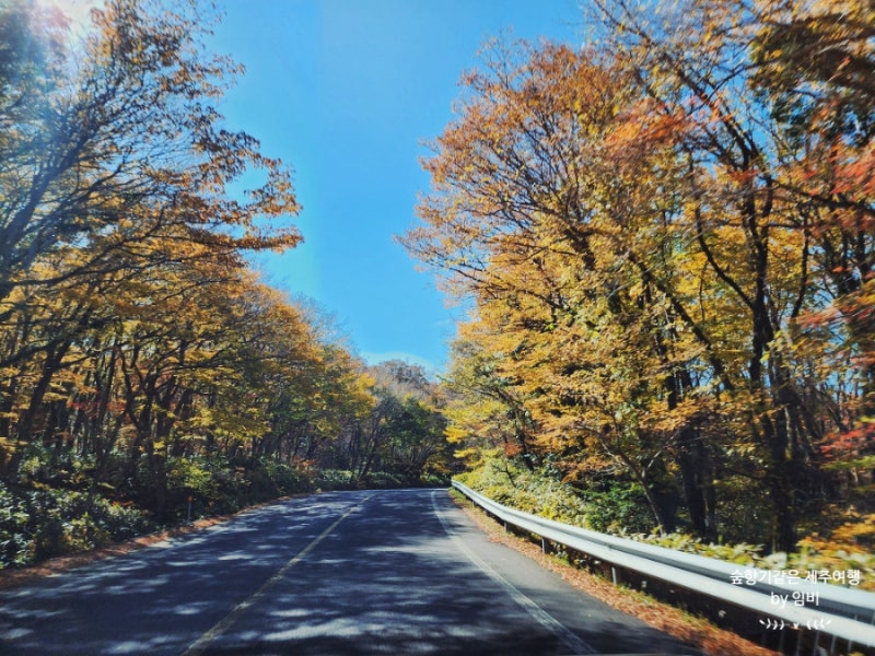 제주 단풍명소 제주도 한라산 영실코스 시간and주차 등산코스 네이버 블로그