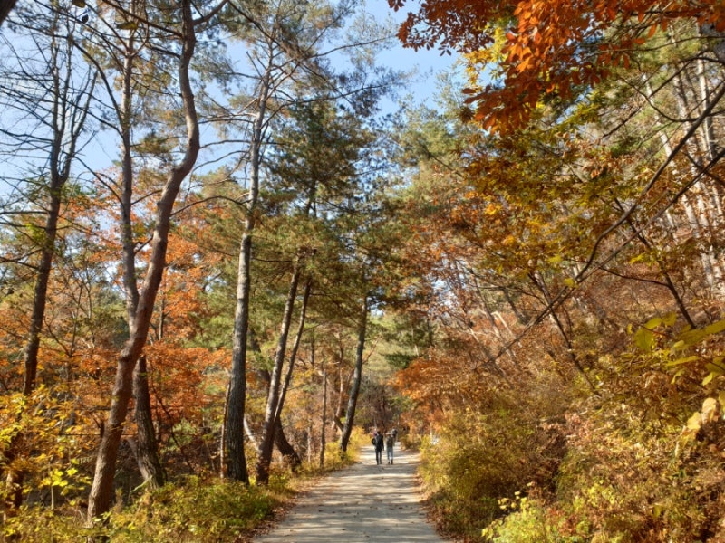 가평 포천 운악산 등산코스 운악산주차장~눈썹바위~망경대~동봉비로봉~서봉~절고개~현등사~원점회귀 네이버 블로그