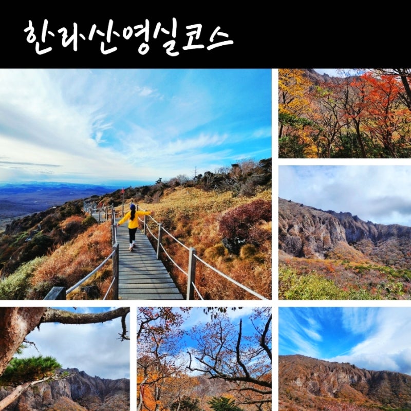 제주 단풍명소 제주도 한라산 영실코스 시간and주차 등산코스 네이버 블로그