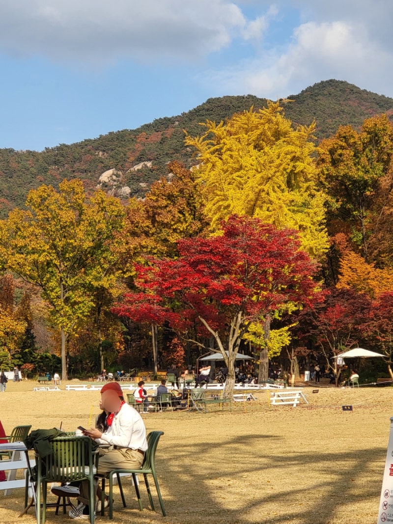 서울근교 가을나들이 의정부 파크프리베 야외정원이 예쁜 단풍명소 카페 네이버 블로그