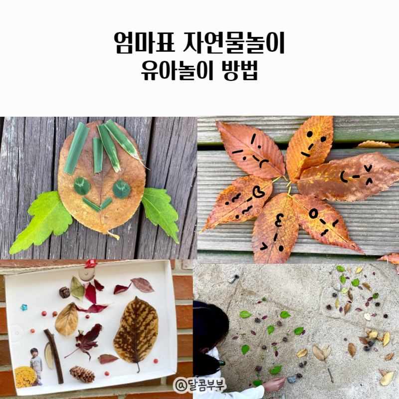 엄마표 자연물놀이 간단한 유아놀이 방법 네이버 블로그