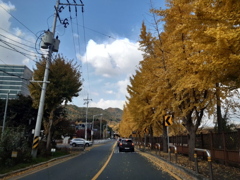 옥천대전청주 옥천에서 청남대 가는길 대청호 드라이브대청호 오백리길 추동습지보호구역대청댐전망대노현습지공원