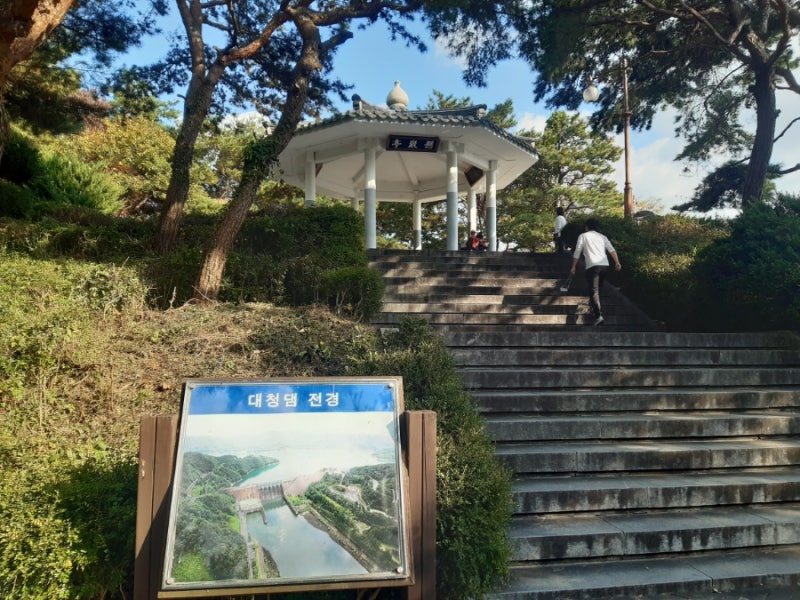 옥천대전청주 옥천에서 청남대 가는길 대청호 드라이브대청호 오백리길 추동습지보호구역대청댐전망대노현습지공원