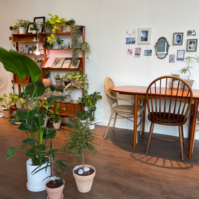 대전 식물카페 상대동 풀멍🌿 : 네이버 블로그