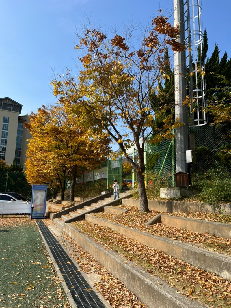 지금 화담숲 숙소 곤지암 리조트 단풍놀이 후기 모노레일 주차 팁 리프트 궁금증 해결 네이버 블로그
