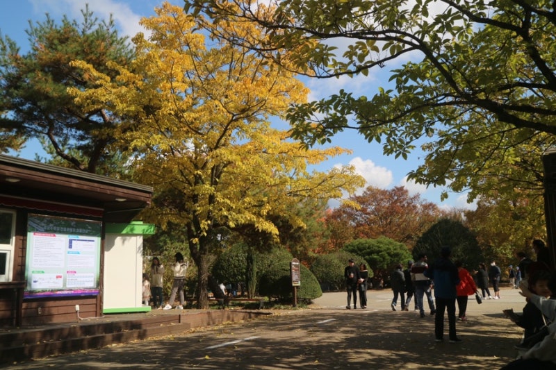 진주단풍절정 진주여행코스 경상남도수목원박물관 단풍이 진짜 예뻤다 네이버 블로그