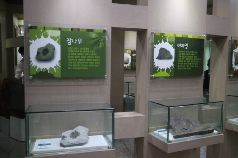 진주단풍절정 진주여행코스 경상남도수목원박물관 단풍이 진짜 예뻤다 네이버 블로그