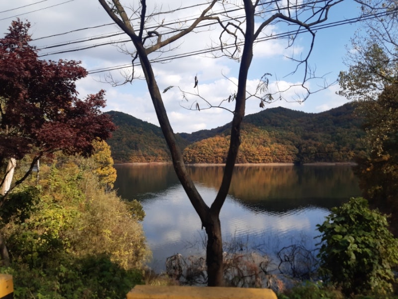 옥천대전청주 옥천에서 청남대 가는길 대청호 드라이브대청호 오백리길 추동습지보호구역대청댐전망대노현습지공원