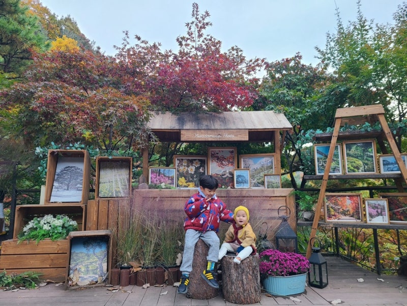 지금 화담숲 숙소 곤지암 리조트 단풍놀이 후기 모노레일 주차 팁 리프트 궁금증 해결 네이버 블로그