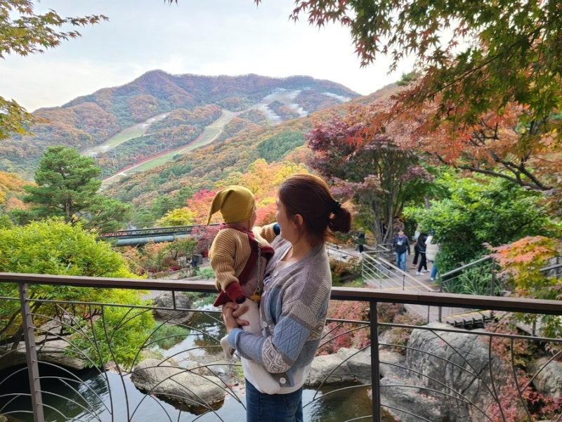 지금 화담숲 숙소 곤지암 리조트 단풍놀이 후기 모노레일 주차 팁 리프트 궁금증 해결 네이버 블로그