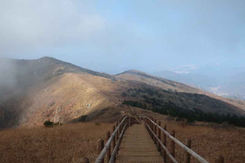 소백산국립공원 소백산 등산코스 어의곡탐방지원센터~비로봉 최단코스 네이버 블로그