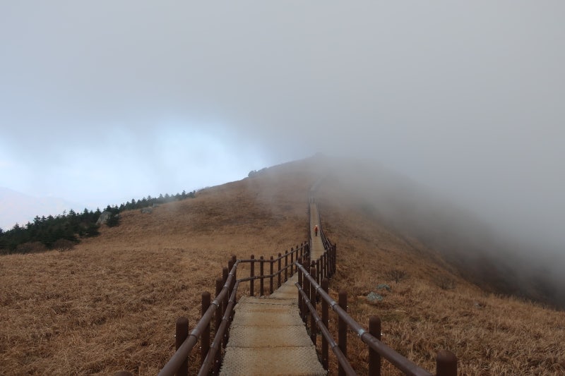 소백산국립공원 소백산 등산코스 어의곡탐방지원센터~비로봉 최단코스 네이버 블로그