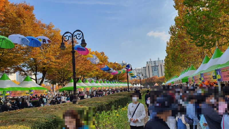 제9회 안양시 학생동아리 축제, 어게인 쿠즈랜드 : 네이버 블로그