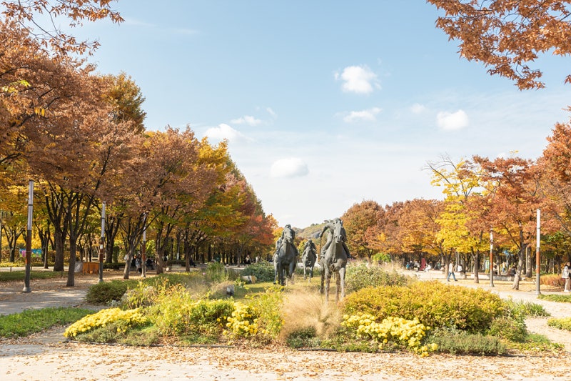 성수동 서울숲 단풍 은행나무 숲길 놀거리 서울 산책로 네이버 블로그