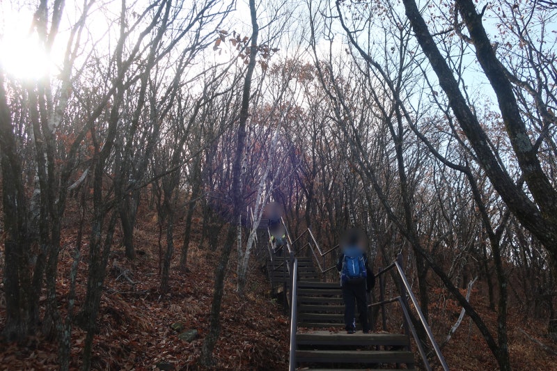 소백산국립공원 소백산 등산코스 어의곡탐방지원센터~비로봉 최단코스 네이버 블로그