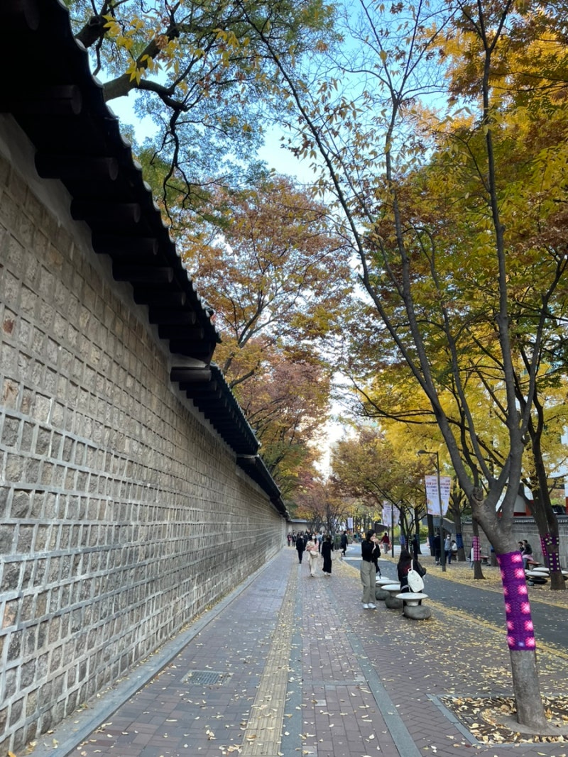 사진 찍기 좋은 단풍명소 덕수궁 돌담길ft리에제와플포토스팟 네이버 블로그
